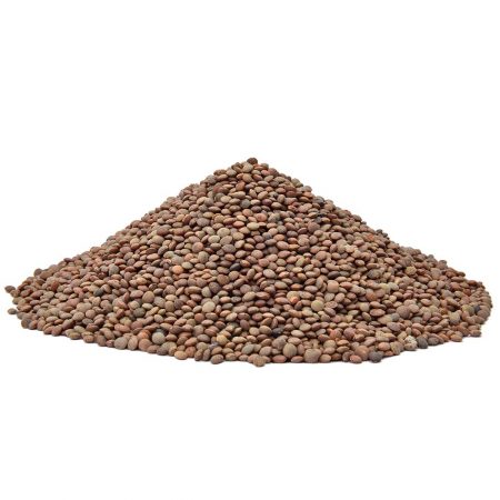 Masoor Sabat (Desi) - Punjabi Store